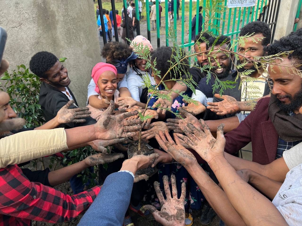 Going Green – Parker Clay