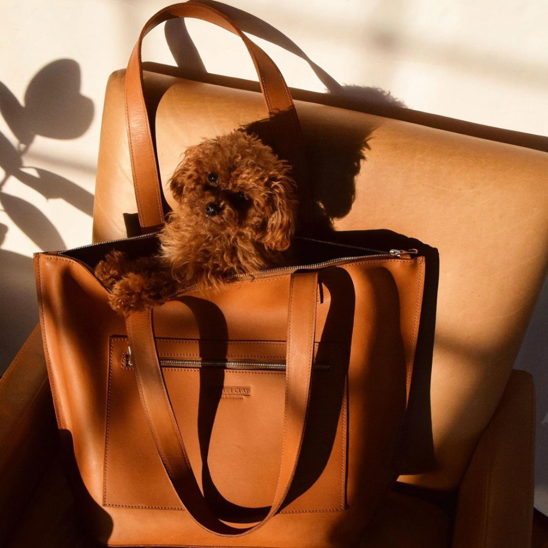 Final Few – Parker Clay